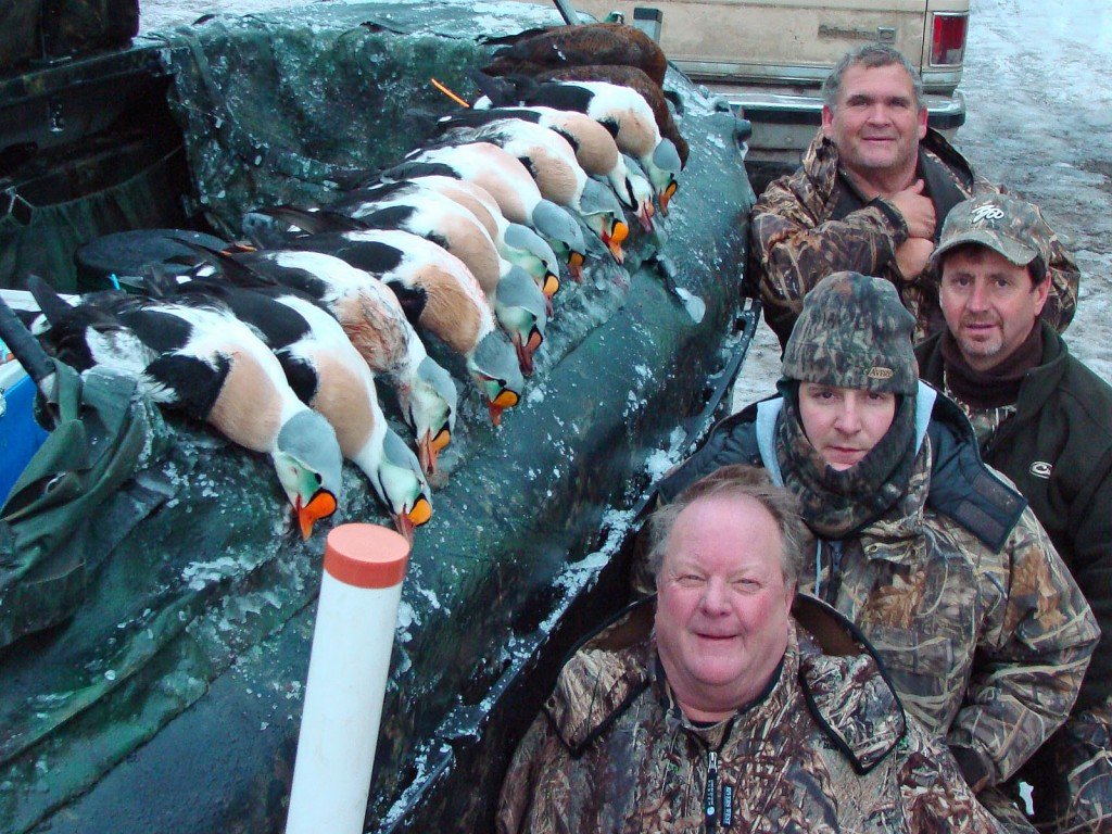 King Eider Hunting Alaska