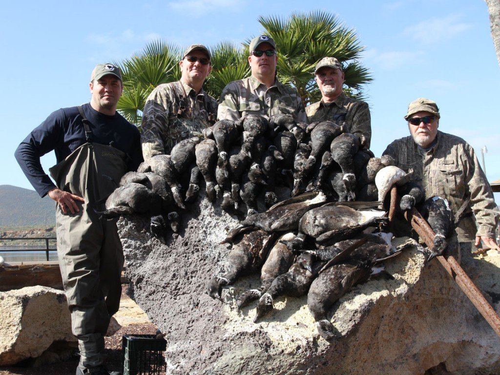 Baja Mexico Pacific Black Brant Hunting - Ramsey Russell's GetDucks.com