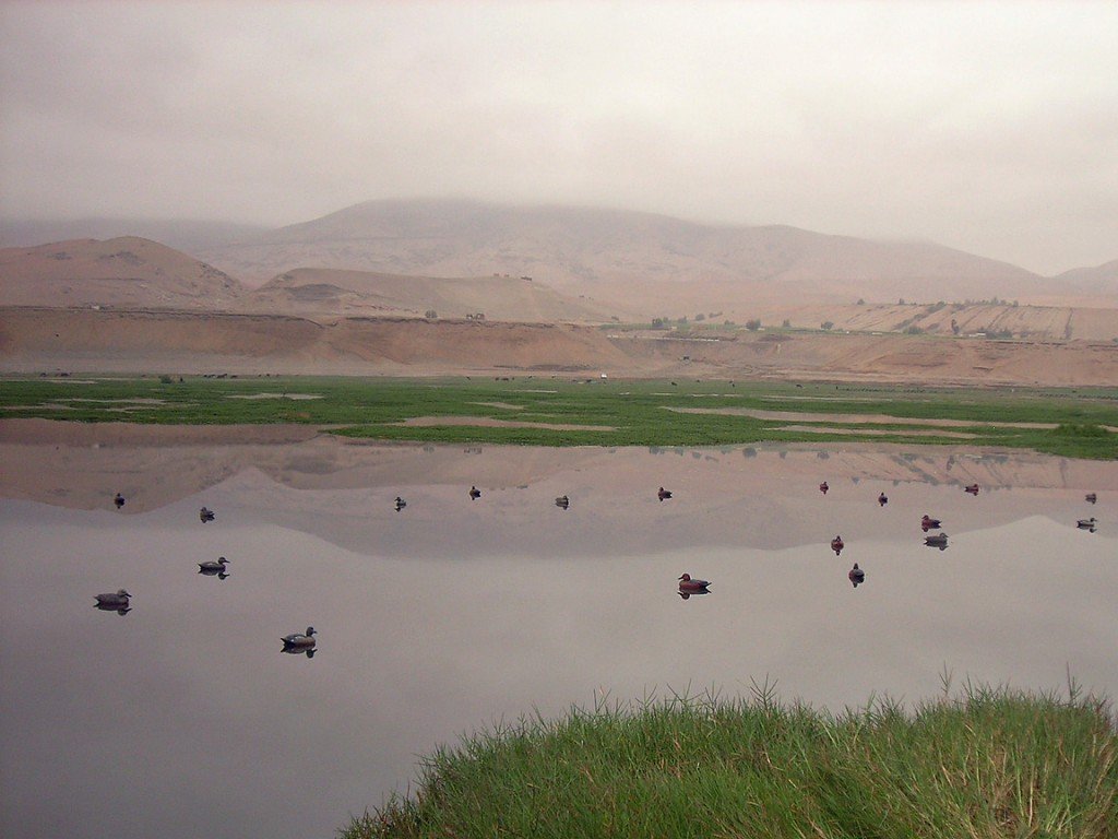 Peru Duck Hunting Photos - Gallery - Ramsey Russell's GetDucks.com