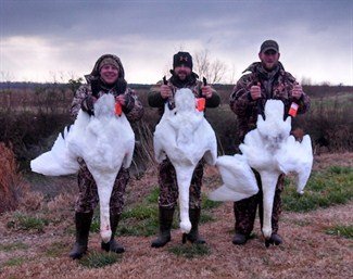 tundraswanhunt14[1]_325x257 - Ramsey Russell's GetDucks.com