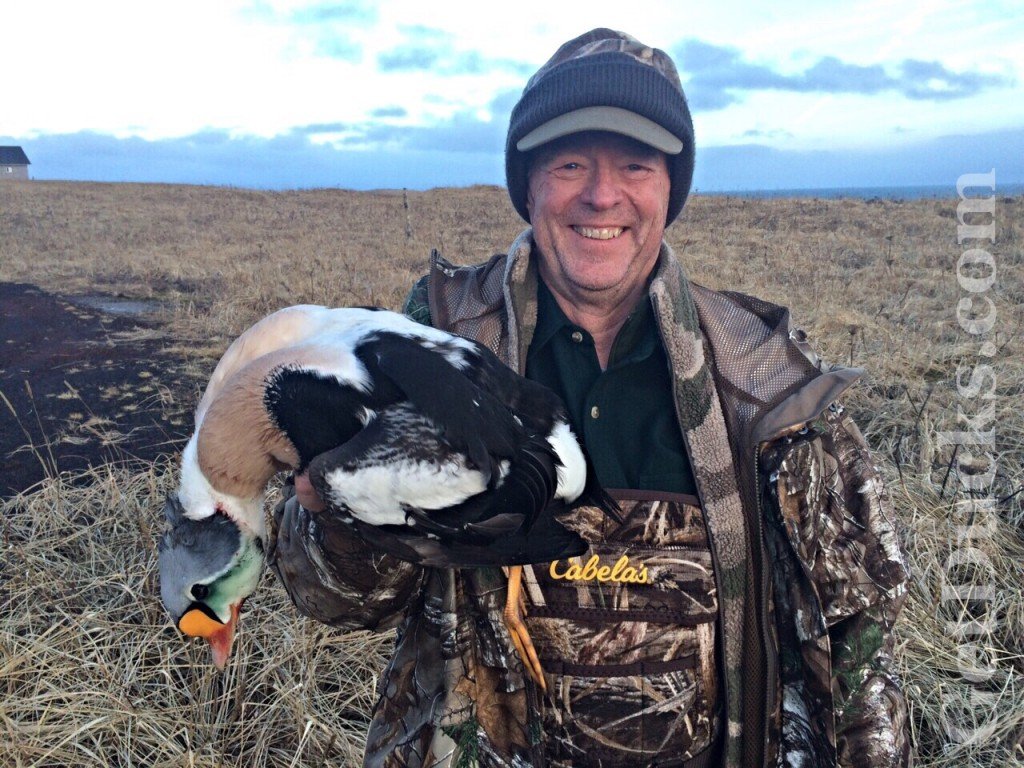 Alaska King Eider Hunting - King Eider Hunt - Ramsey Russell's GetDucks.com