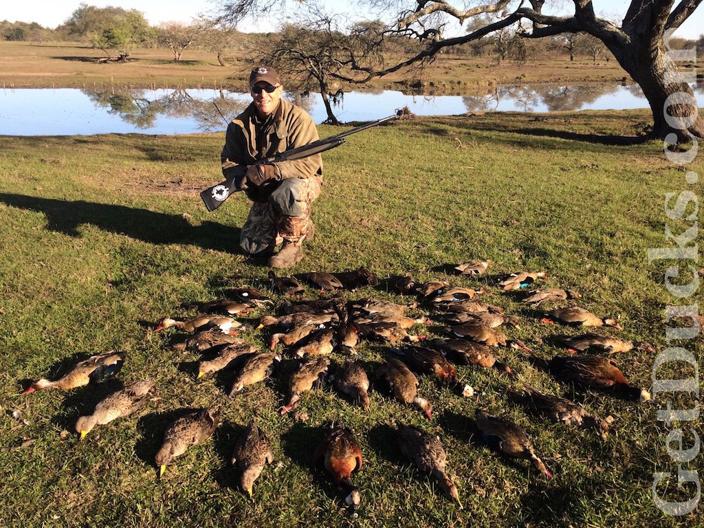 Argentina Duck Hunting - Los Ceibos - Duck Dove Hunt Argentina
