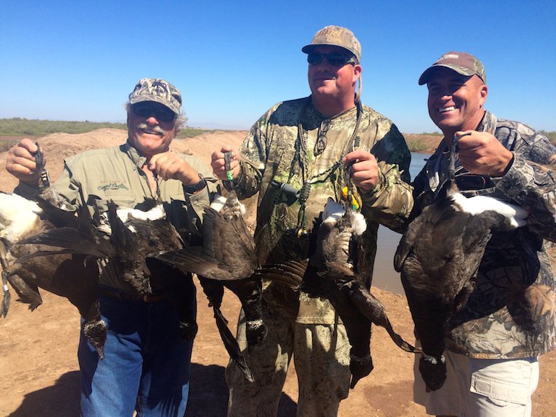 Obregon Mexico Duck Hunting Combo | Best Mexico Duck Hunts