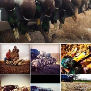 Texas Goose Hunting Guides - Sea to Sky Outfitters
