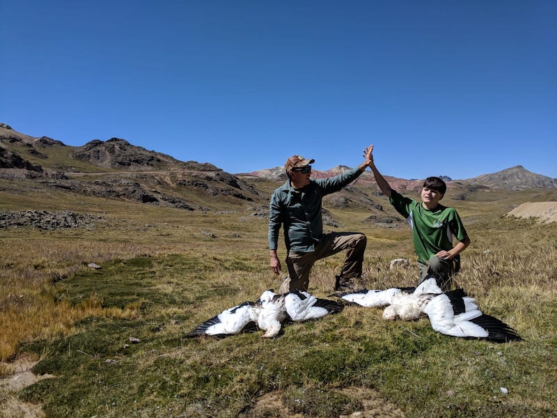 Peru Duck Hunting Photos - Gallery - Ramsey Russell's GetDucks.com