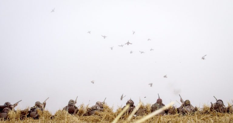 Saskatchewan Canada Waterfowl Hunts - Prairie Limits Outfitters