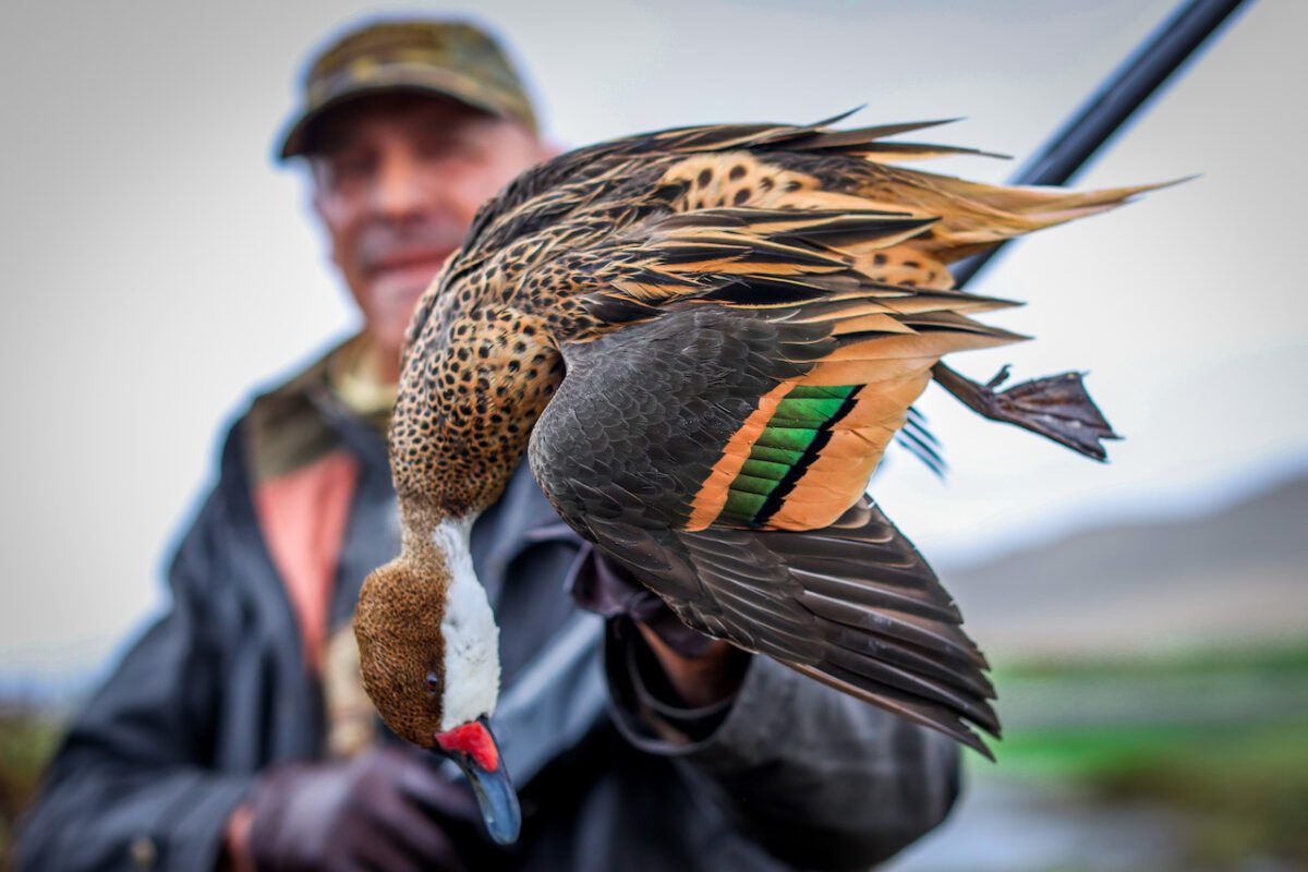 Peru Duck Hunting Photos - Gallery - Ramsey Russell's GetDucks.com