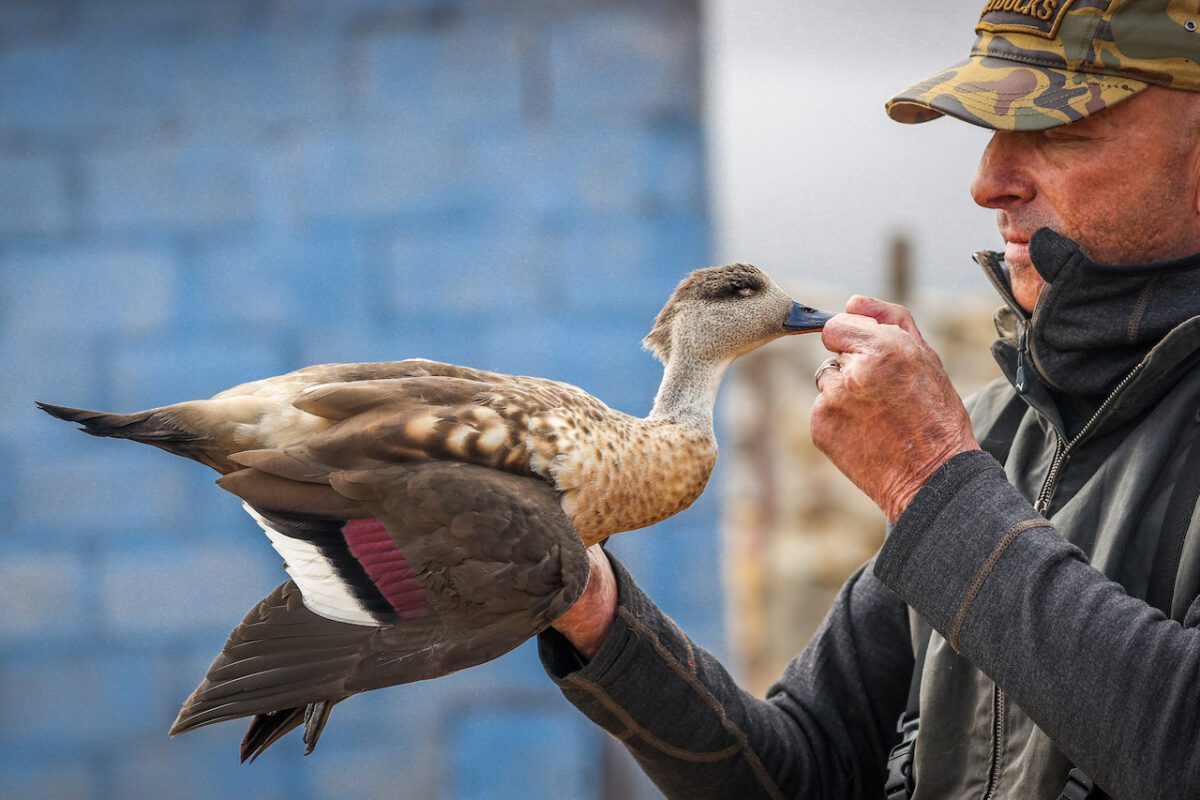 Peru Duck Hunting Photos - Gallery - Ramsey Russell's GetDucks.com