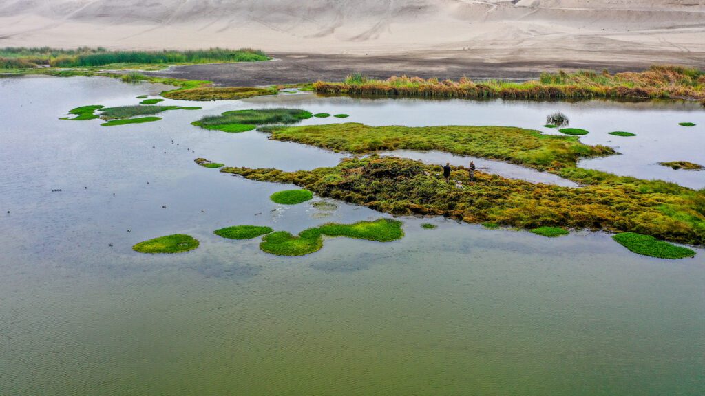 Peru Duck Hunting Photos - Gallery - Ramsey Russell's GetDucks.com