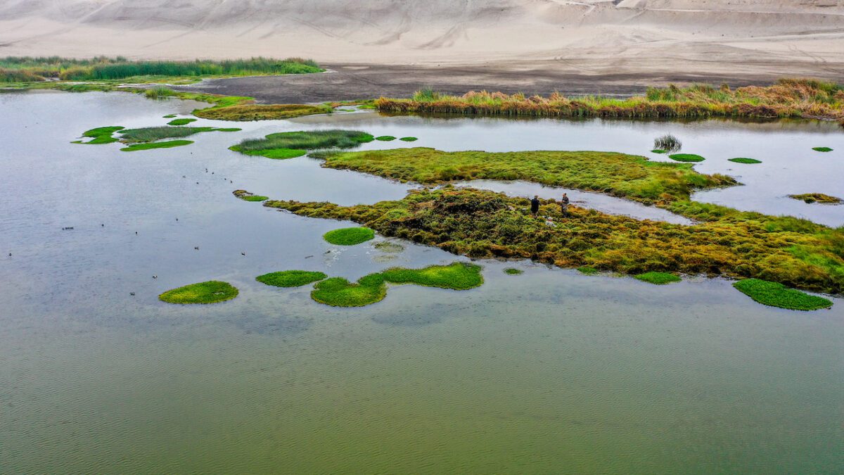 Peru Duck Hunting Photos - Gallery - Ramsey Russell's GetDucks.com