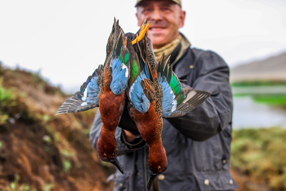 Peru Duck Hunting Photos - Gallery - Ramsey Russell's GetDucks.com
