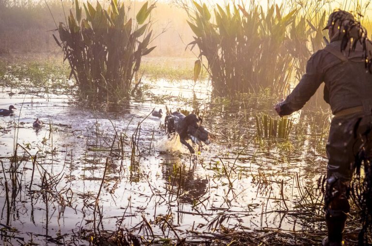 Argentina Duck Hunt - Parana River Delta - Hunting - Best Hunts- Ramsey ...