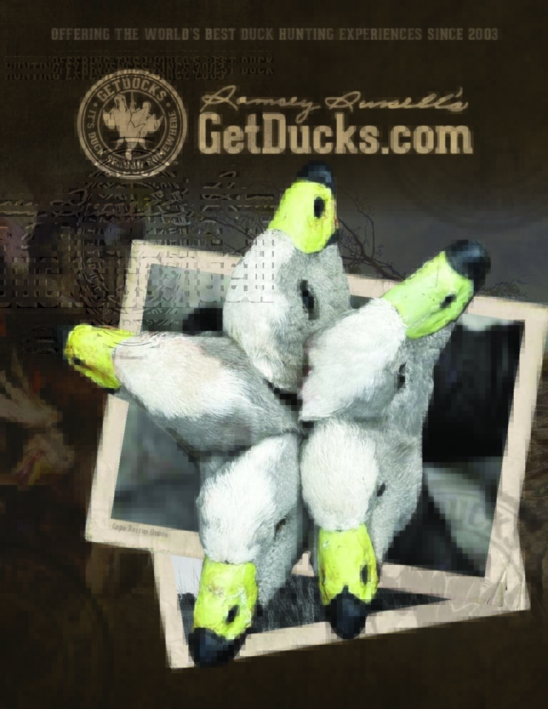 Brazilian Duck (Teal) Species Info & Hunting - Ramsey Russell's ...