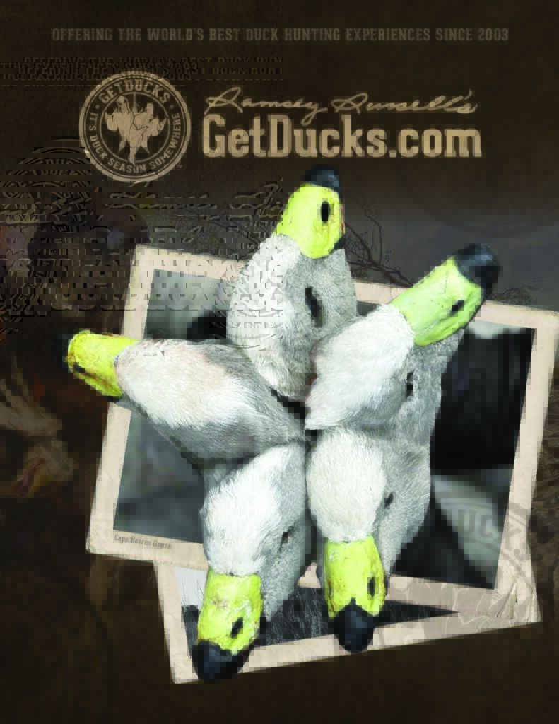 Bean Goose Species Info & Hunting - Ramsey Russell's GetDucks.com